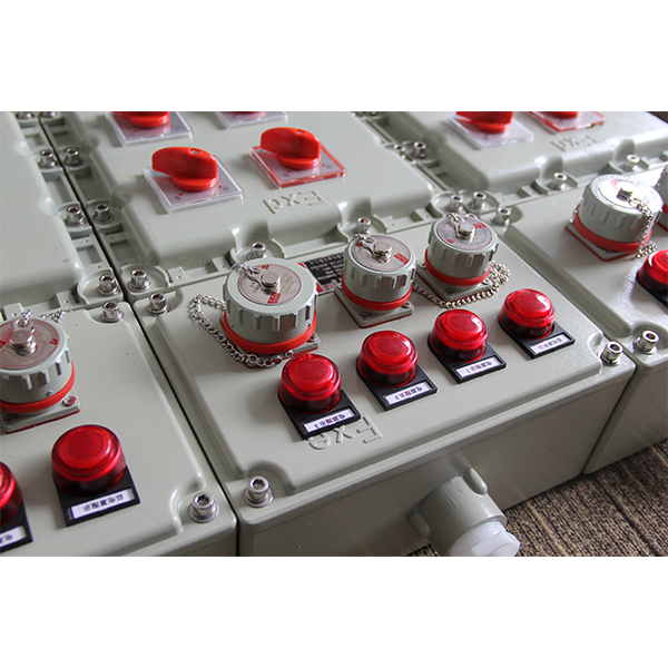 IIB T4 Flameproof Explosion Proof Control Panel Enclosure for Hazardous ...