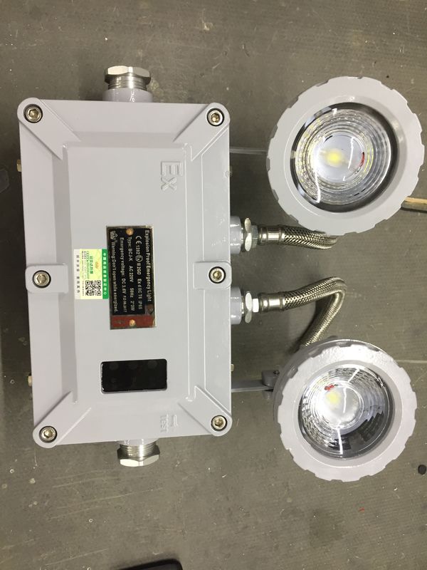 Ex d IIB Flameproof Rechargeable Emergency Light | Portable Well Glass ...