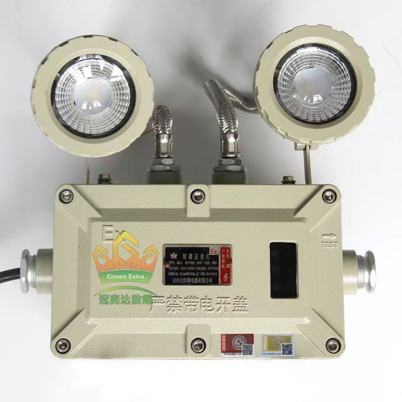Flameproof Aluminum Emergency Light for Hazardous and Emergency ...