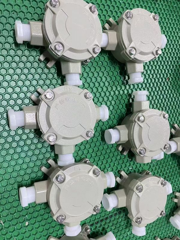 Durable and Explosive Safe Junction Box for G1/2 Cable Entry in ...