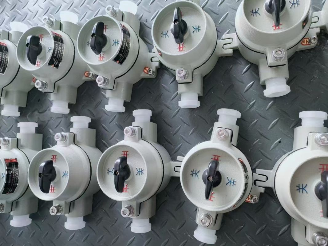 Surface Mount 10A Explosion Proof Switch with G3/4 Cable Entry IP66 Ex ...