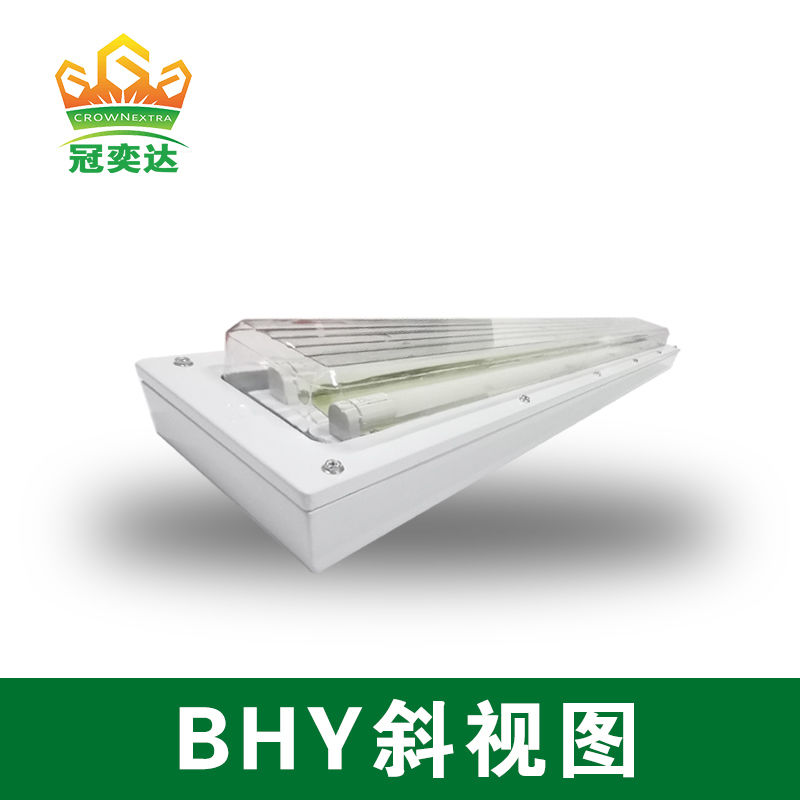 Ex d e IIC T6 Explosion Proof LED Light IP66 Certified for Hazardous Areas