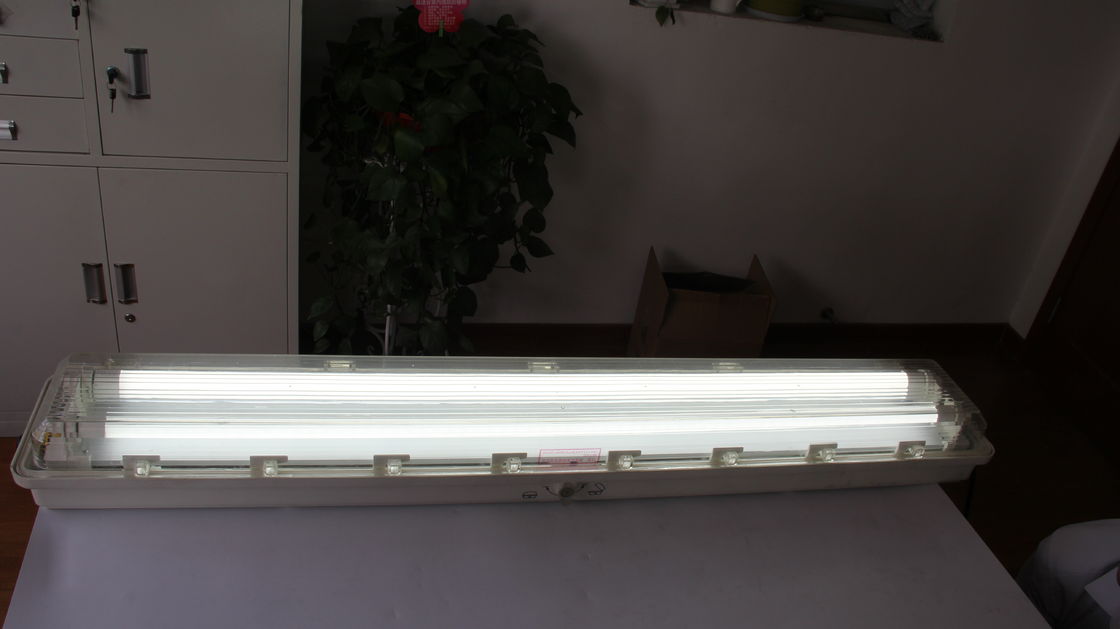 Explosion Proof Fluorescent Tube Light – T5/T8 Flameproof Lighting ...