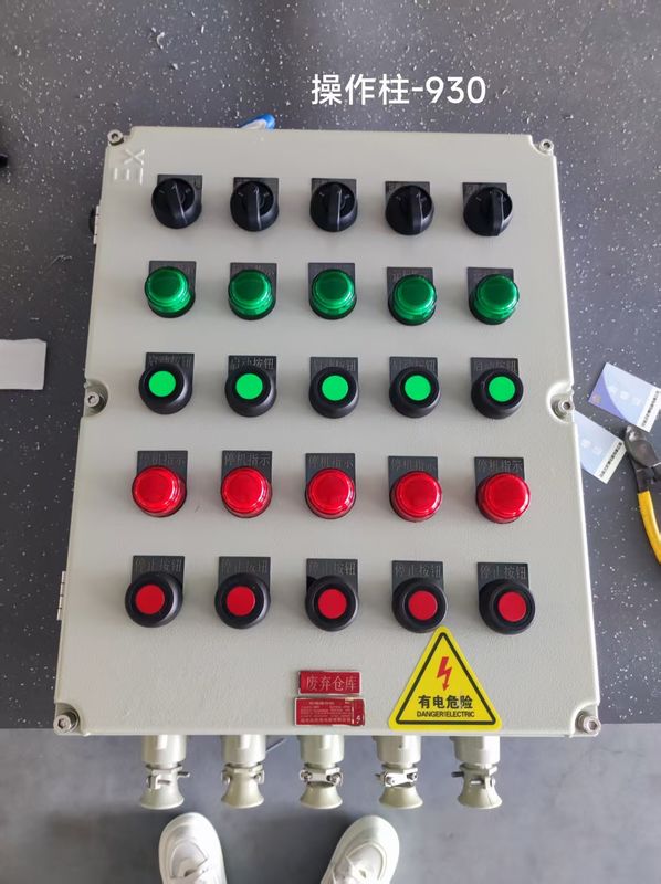 Customizable Rated Voltage Flameproof Control Panels with 12mm Panel ...