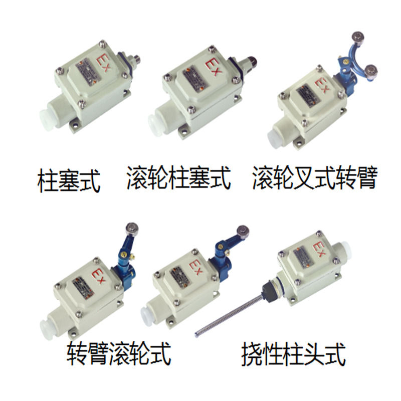 IP66 Rated Flame-Proof Selector with G3/4'' Cable Entry for Safe and ...