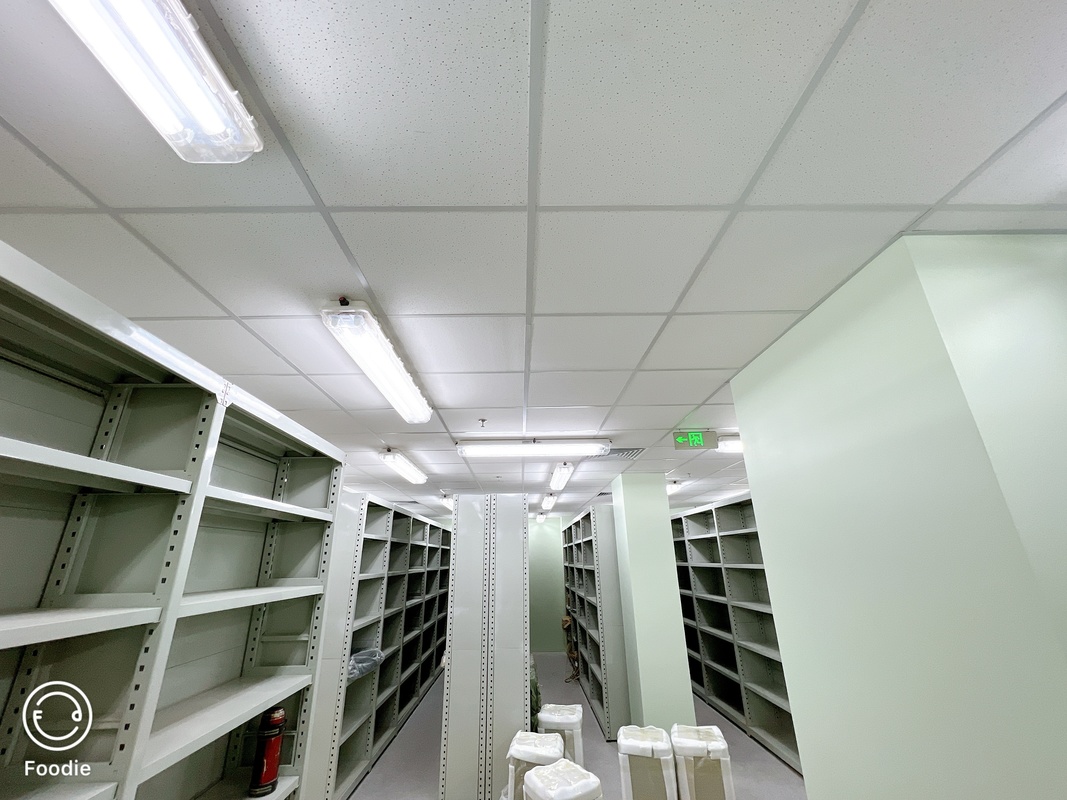 Pharmaceutical Industries Blast Proof Fluorescent Luminaire with ...