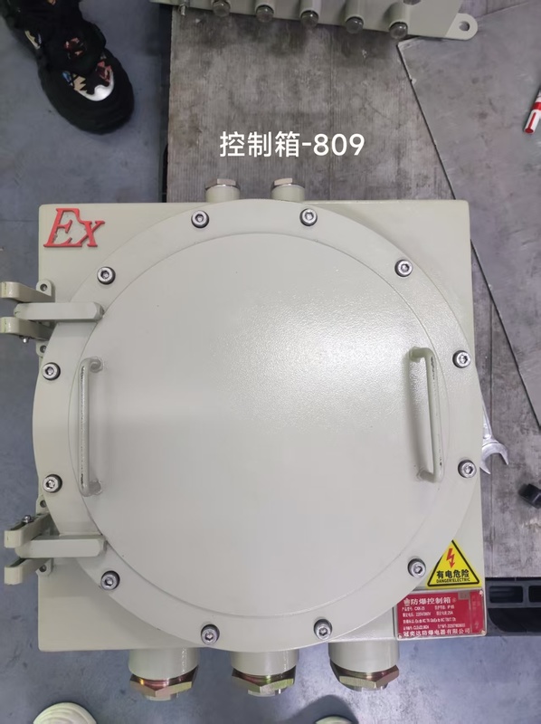 Customizable Aluminum Explosion Proof Flameproof Starter Pump motor ...