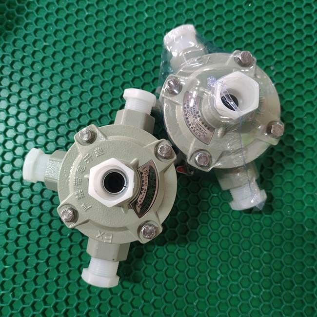 Lighting Explosion Proof Junction Box Exd II CT6 Gb DIP A21 IP68 T80°C