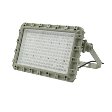 100W Anti Corrosion Powder Coated LED Flood Light Safe for Zone1 2