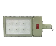 50W Ex Proof LED Flood Light with Brightness and various Mounting Options