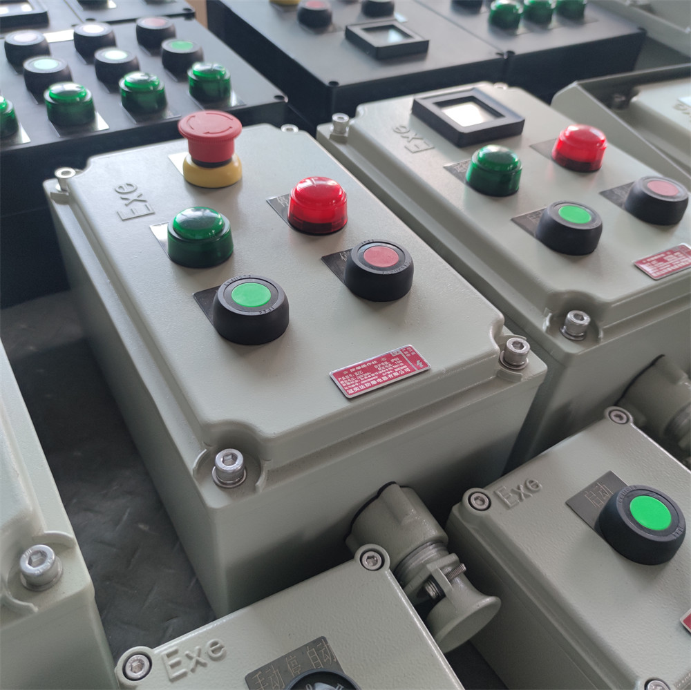 Flameproof Control Board With IP66/WF2 Protection For Hazardous ...