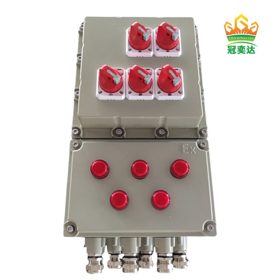 ExProof Flameproof Control Distribution Panel Board 2mm Certified By ...