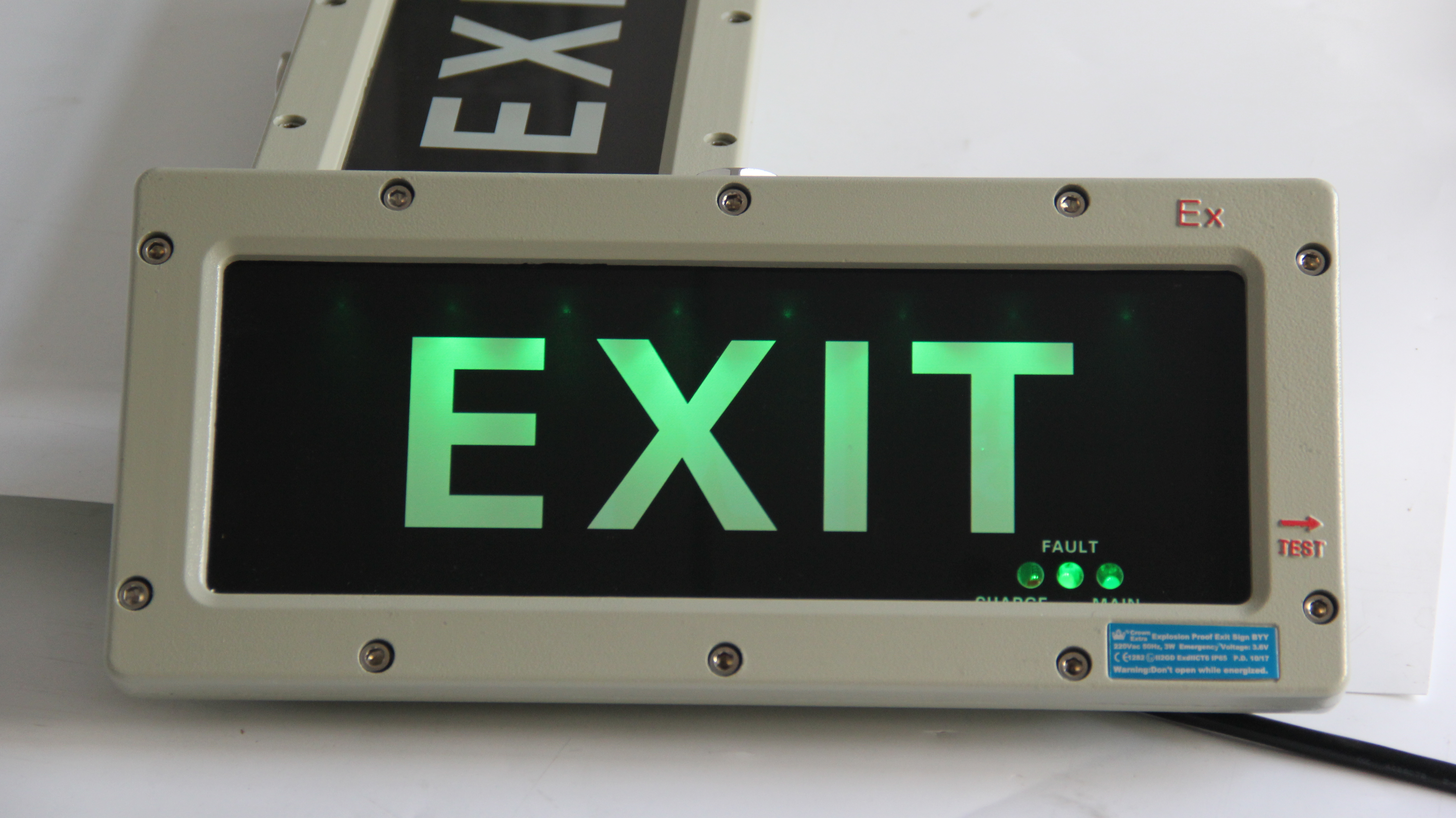 ATEX Certified Flameproof Emergency Light - Wall/Ceiling Mount