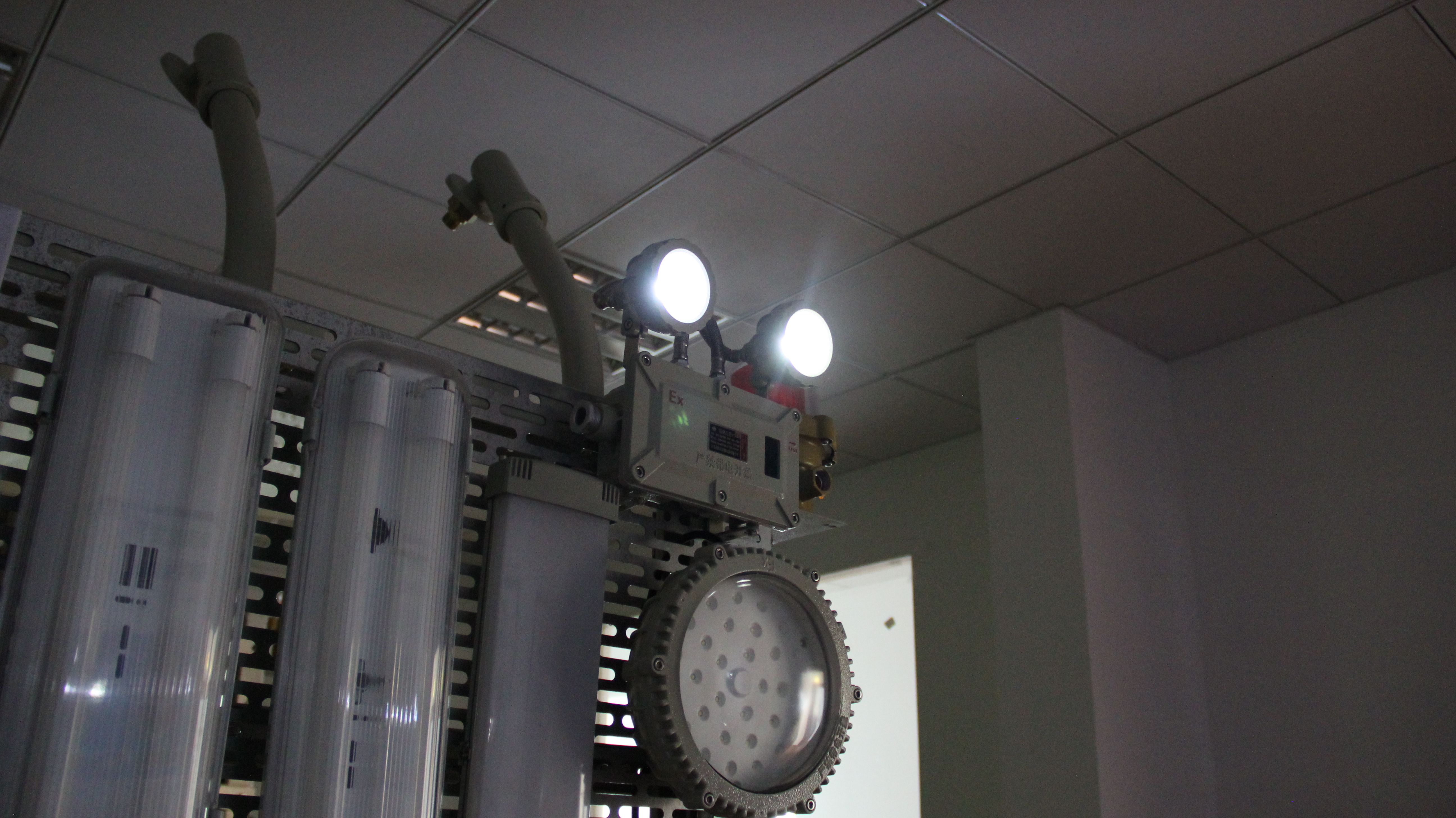 Explosion-proof Emergency Light IP66 and CCT 5500-6500 for Hazardous ...