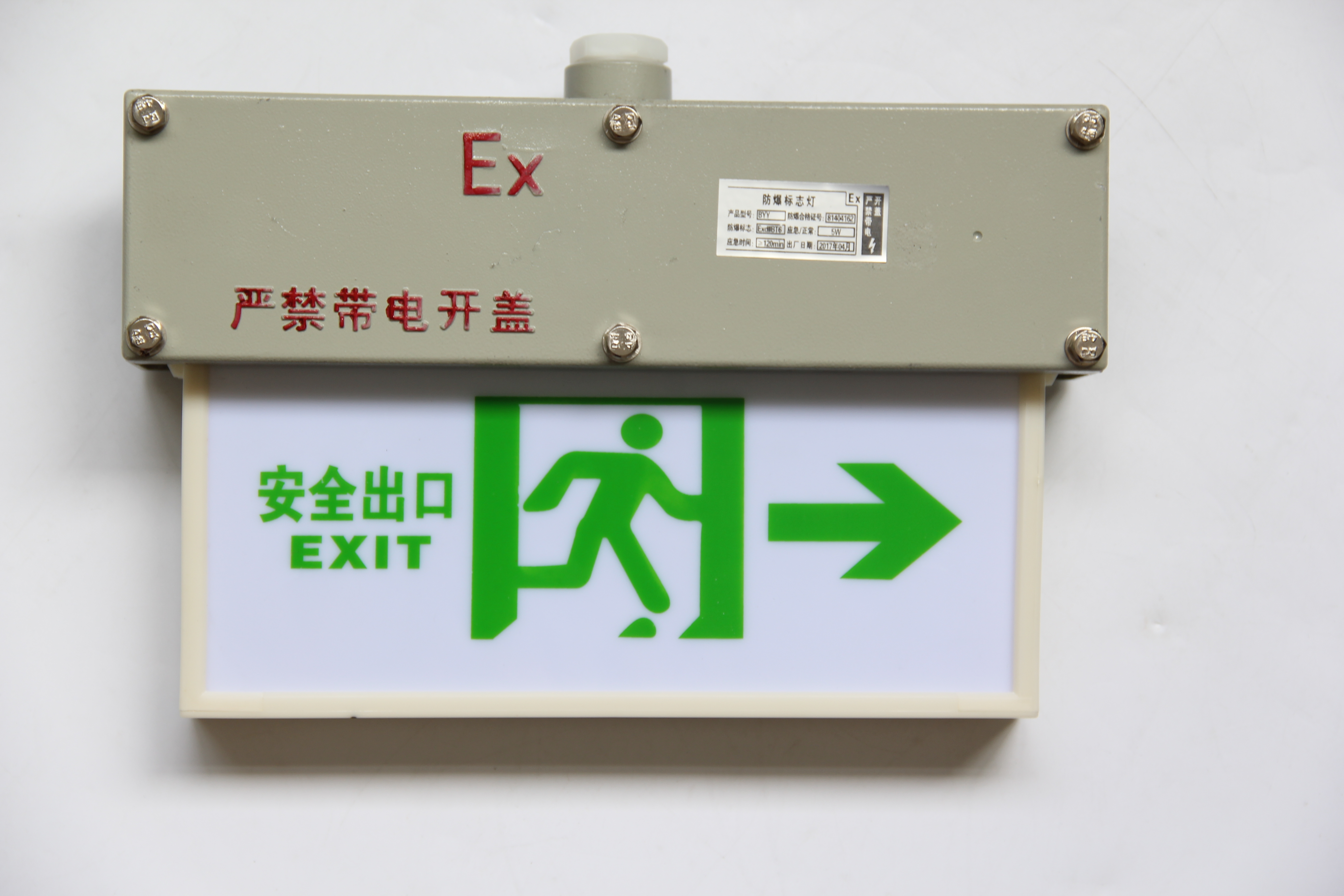 Flameproof Emergency Light Versatile and Safe Lighting for Hazardous ...