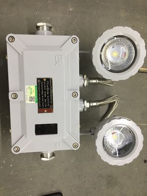 Flameproof Emergency Light factory, Buy good quality Flameproof ...